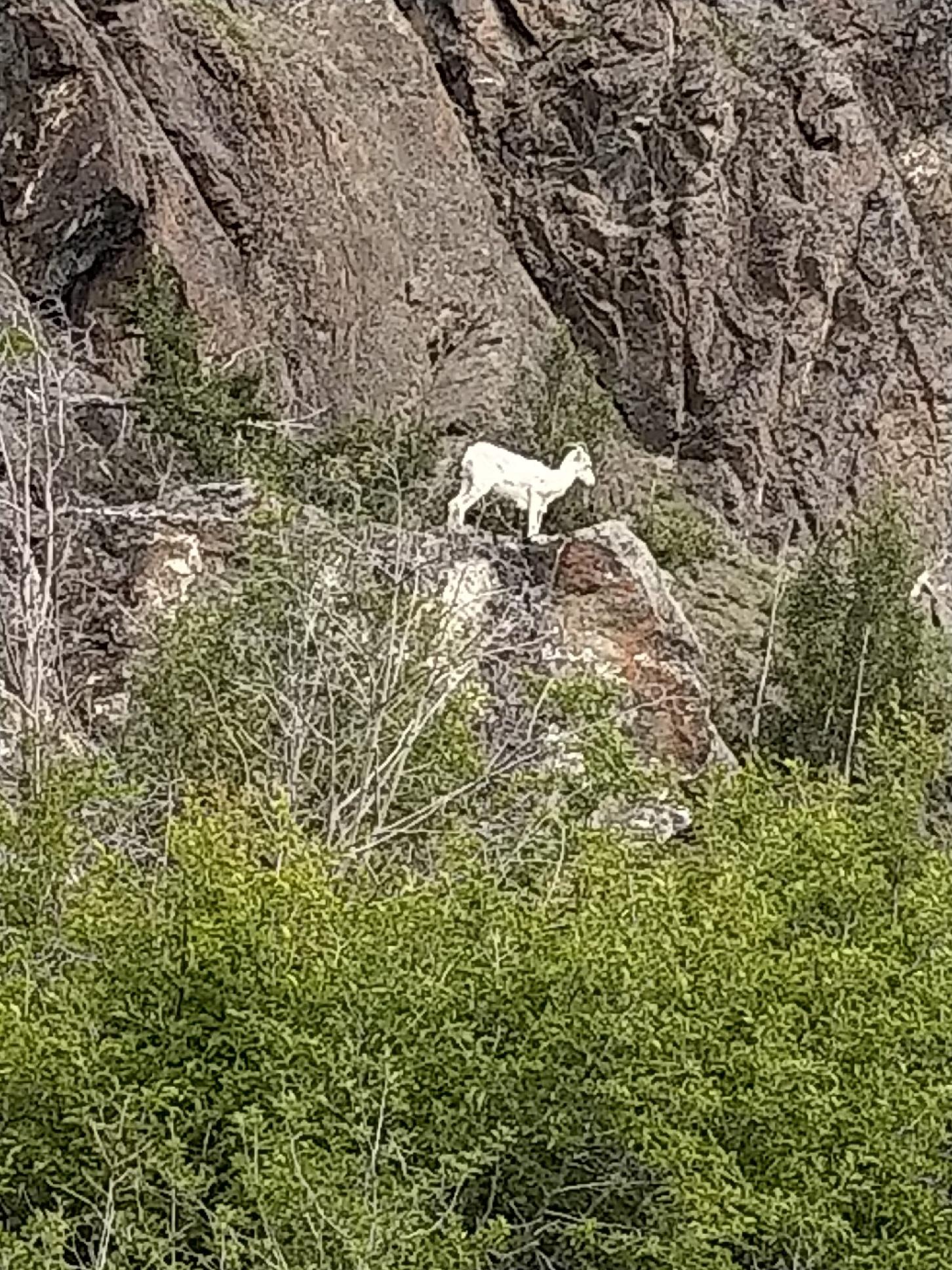 Is Alaska on your Bucket List? – Alaska Backcountry Cottages